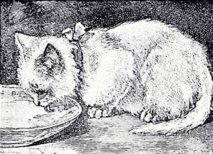 MCGUFFEY’S First ECLECTIC READER: Lesson 35: Kitty, my pretty, white ...