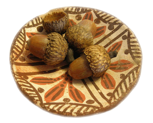 Understanding Nuts: Nature’s Unique Fruits for Kids | articlesforchristians